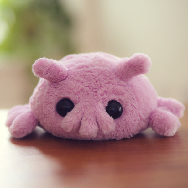 Sea Pig Mini – Hashtag Collectibles